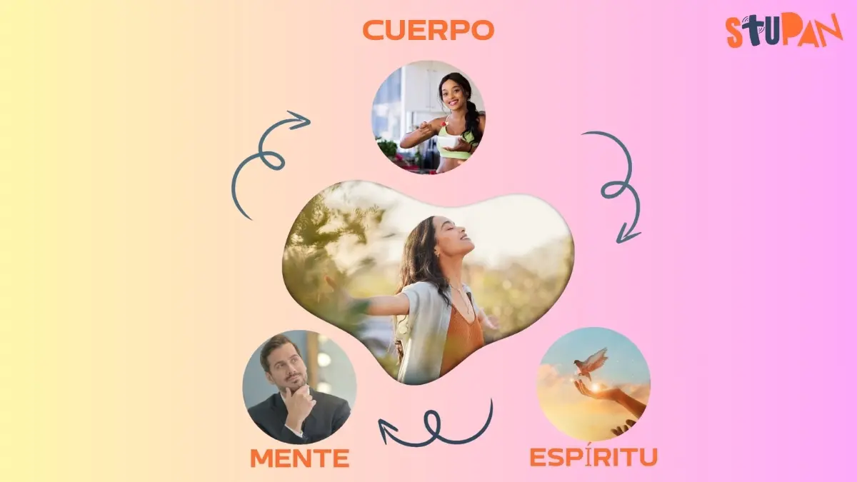 Contenidos | Stupan